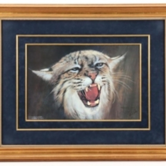 THE KENTUCKY WILDCAT | Art | The Kentucky Wildcat Limited Edition ...